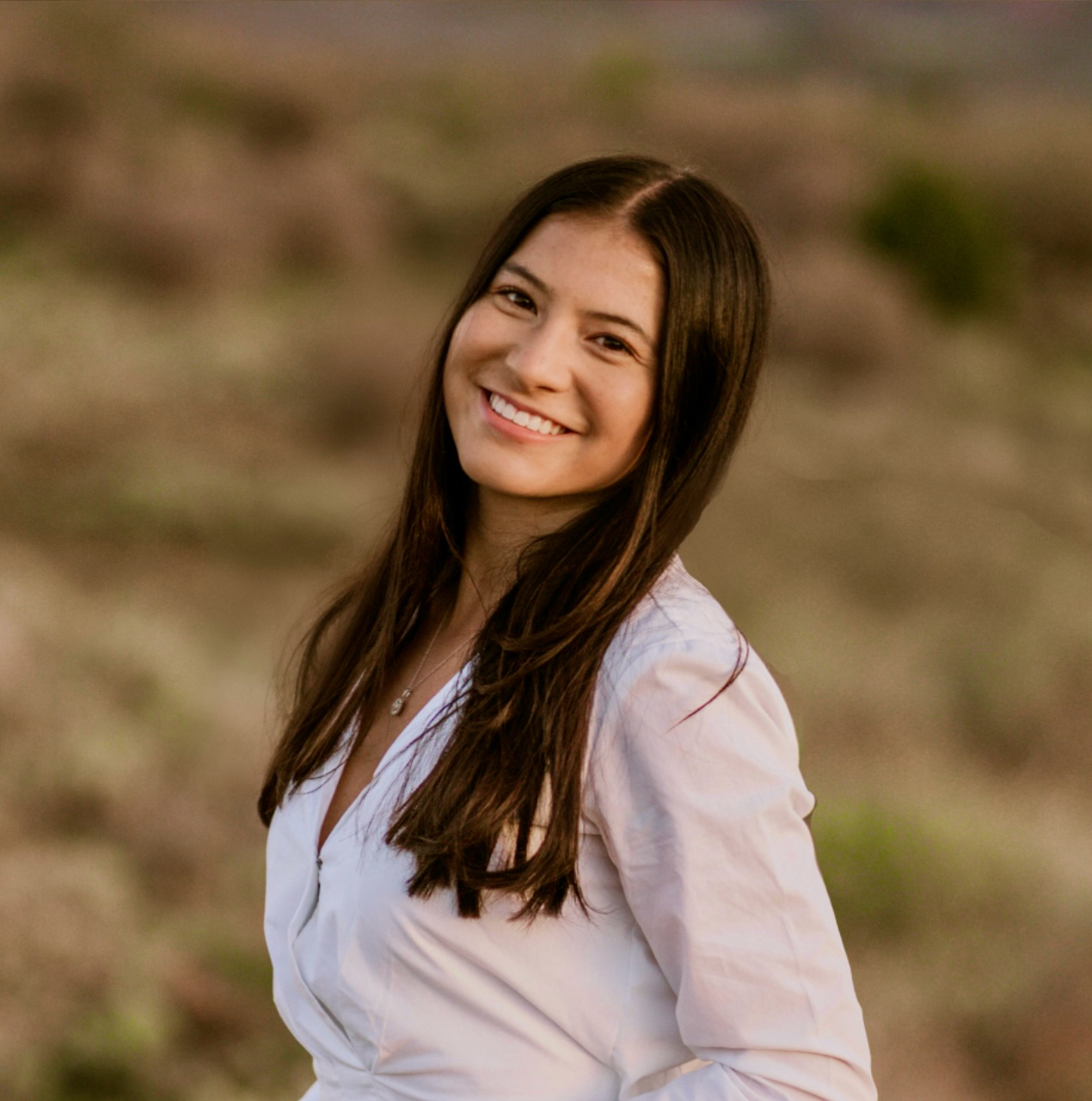 Our Professionals – Bluestone Law Group